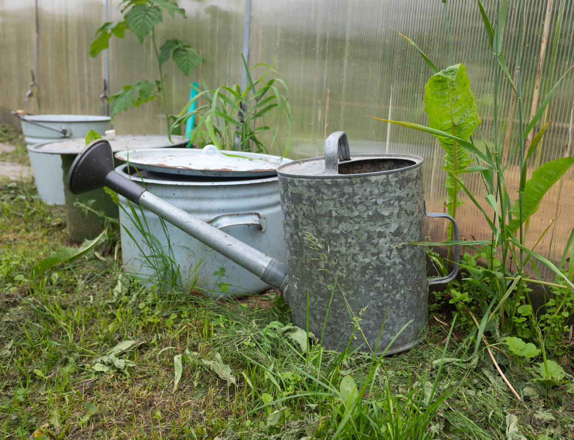 Mosquito Control via Source Reduction - DPR CA - Karma Seminars
